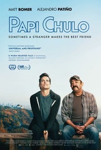 Papi chulo (2018) | Rotten Tomatoes