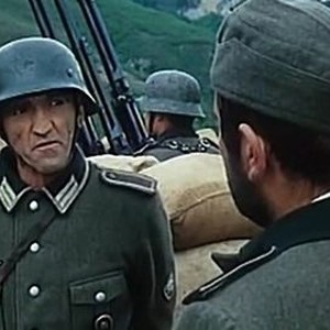 The Bridge - Rotten Tomatoes