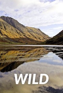 Wild (2004) | Rotten Tomatoes