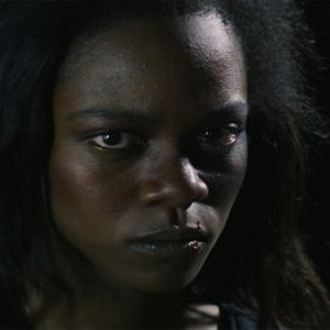 Split Lip - Rotten Tomatoes