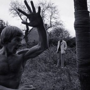 Robin Redbreast - Rotten Tomatoes