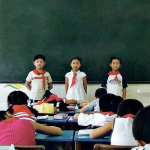 Please Vote for Me - Rotten Tomatoes