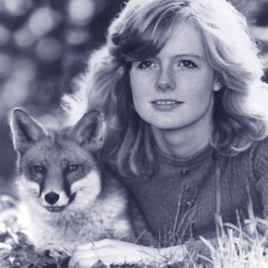The Belstone Fox - Rotten Tomatoes
