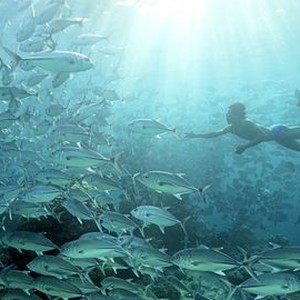 Human Planet - Rotten Tomatoes