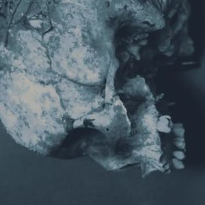 Cold Case Files: Season 5, Episode 28 - Rotten Tomatoes