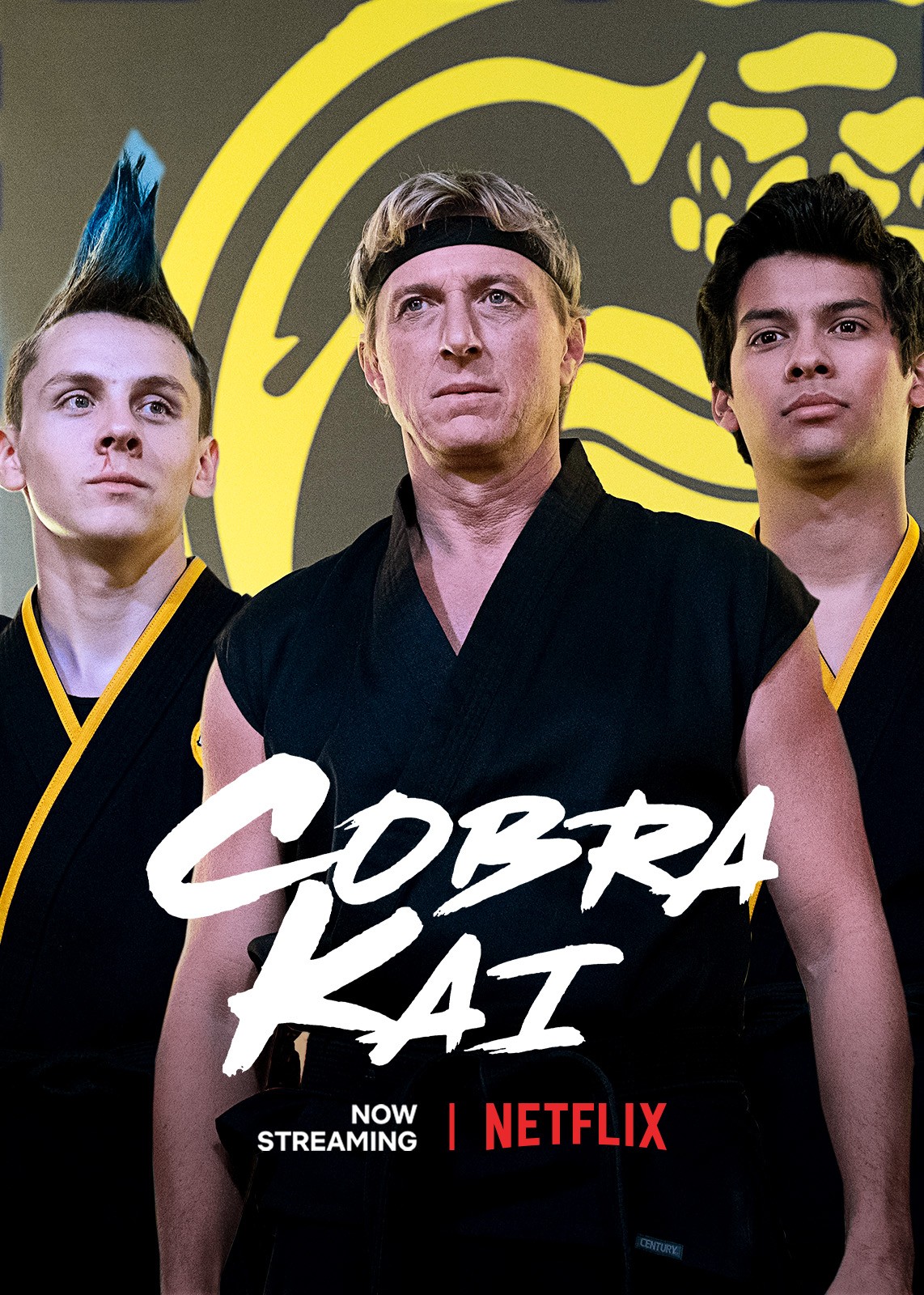 Cobra Kai Kolipotyr