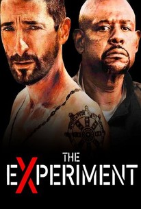 The Experiment | Rotten Tomatoes