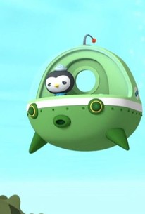 Octonauts: Season 2, Episode 21 | Rotten Tomatoes
