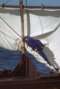 Flipper: Season 3, Episode 26 | Rotten Tomatoes