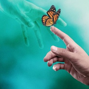 Surviving Death - Rotten Tomatoes