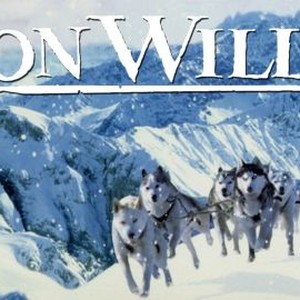 Iron Will - Rotten Tomatoes