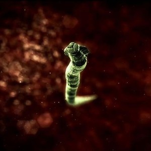 Monsters Inside Me: Season 3, Episode 1 - Rotten Tomatoes