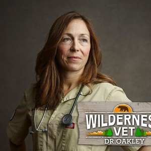 Wilderness Vet: Season 1, Episode 17 - Rotten Tomatoes