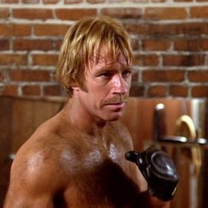 The Octagon - Rotten Tomatoes