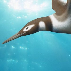 Eons: Season 2, Episode 43 - Rotten Tomatoes