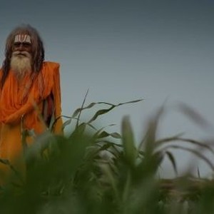 Neer - Rotten Tomatoes