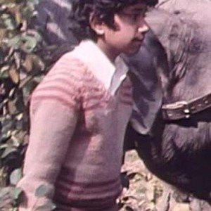 Anoop and the Elephant - Rotten Tomatoes