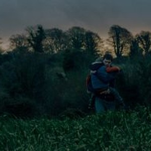 The Cured - Rotten Tomatoes