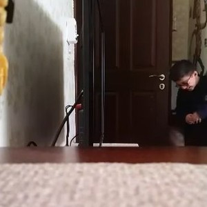 Prank Week - Rotten Tomatoes