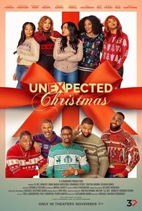 Unexpected Christmas | Audience Reviews | Rotten Tomatoes