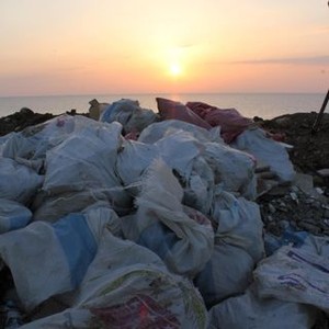 Trashed - Rotten Tomatoes