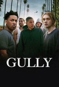 Gully | Rotten Tomatoes