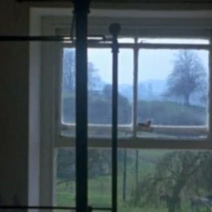 Windows - Rotten Tomatoes