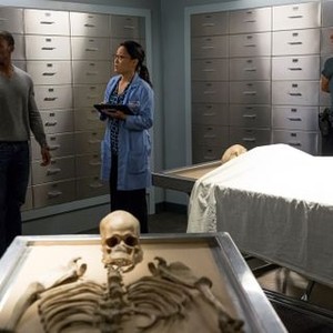 Lee Thompson Young Scrubs