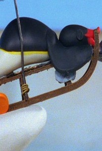 Pingu: Season 6, Episode 1 - Rotten Tomatoes
