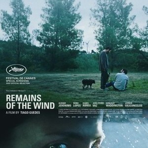Remains of the Wind - Rotten Tomatoes