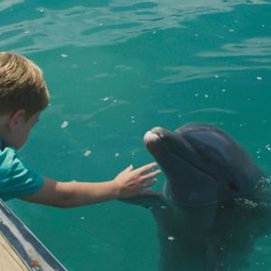 Dolphin Kick - Rotten Tomatoes