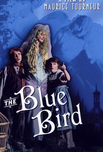The Blue Bird | Rotten Tomatoes