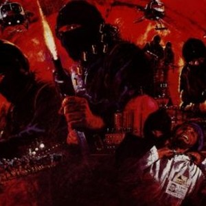 The Ninja Mission - Rotten Tomatoes