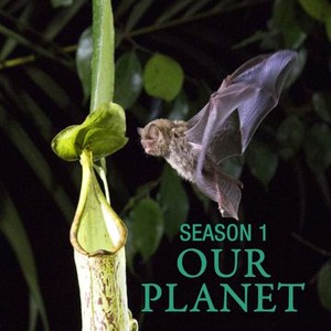 Our Planet - Rotten Tomatoes