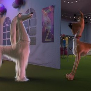 Marmaduke - Rotten Tomatoes