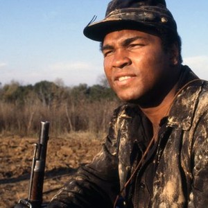 Freedom Road - Rotten Tomatoes