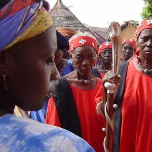 Moolaadé - Rotten Tomatoes