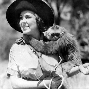 Baboona - Rotten Tomatoes