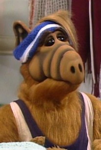 ALF: Season 4, Episode 5 | Rotten Tomatoes