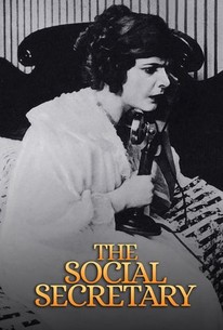 The Social Secretary | Rotten Tomatoes