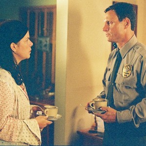 American Gun - Rotten Tomatoes