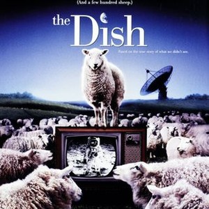 The Dish (2001) - Rotten Tomatoes