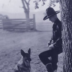 Fighting Fury - Rotten Tomatoes