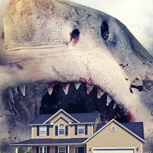 House Shark - Rotten Tomatoes