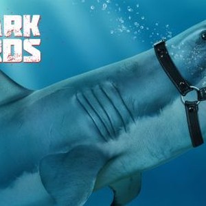 Shark Lords - Rotten Tomatoes