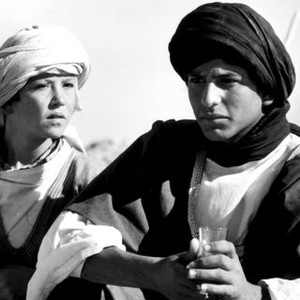 Kelly Reno - Rotten Tomatoes