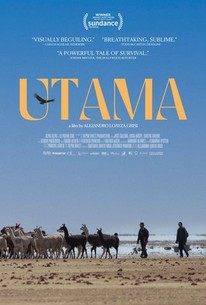 Utama | Rotten Tomatoes