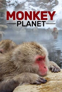 Monkey Planet: Season 1 | Rotten Tomatoes