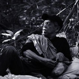 Genus, Pan - Rotten Tomatoes