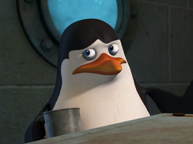 Scared Penguin Madagascar